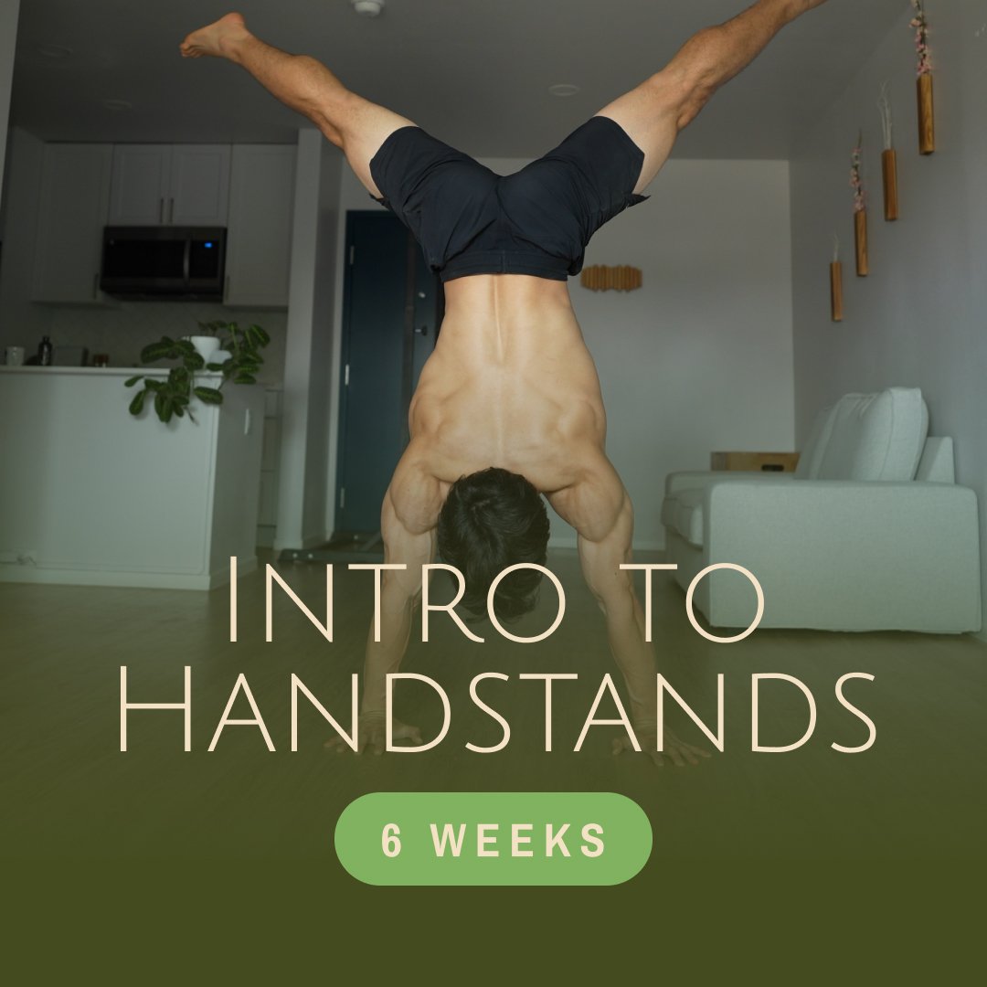 Intro to Handstands by Tristan Nee